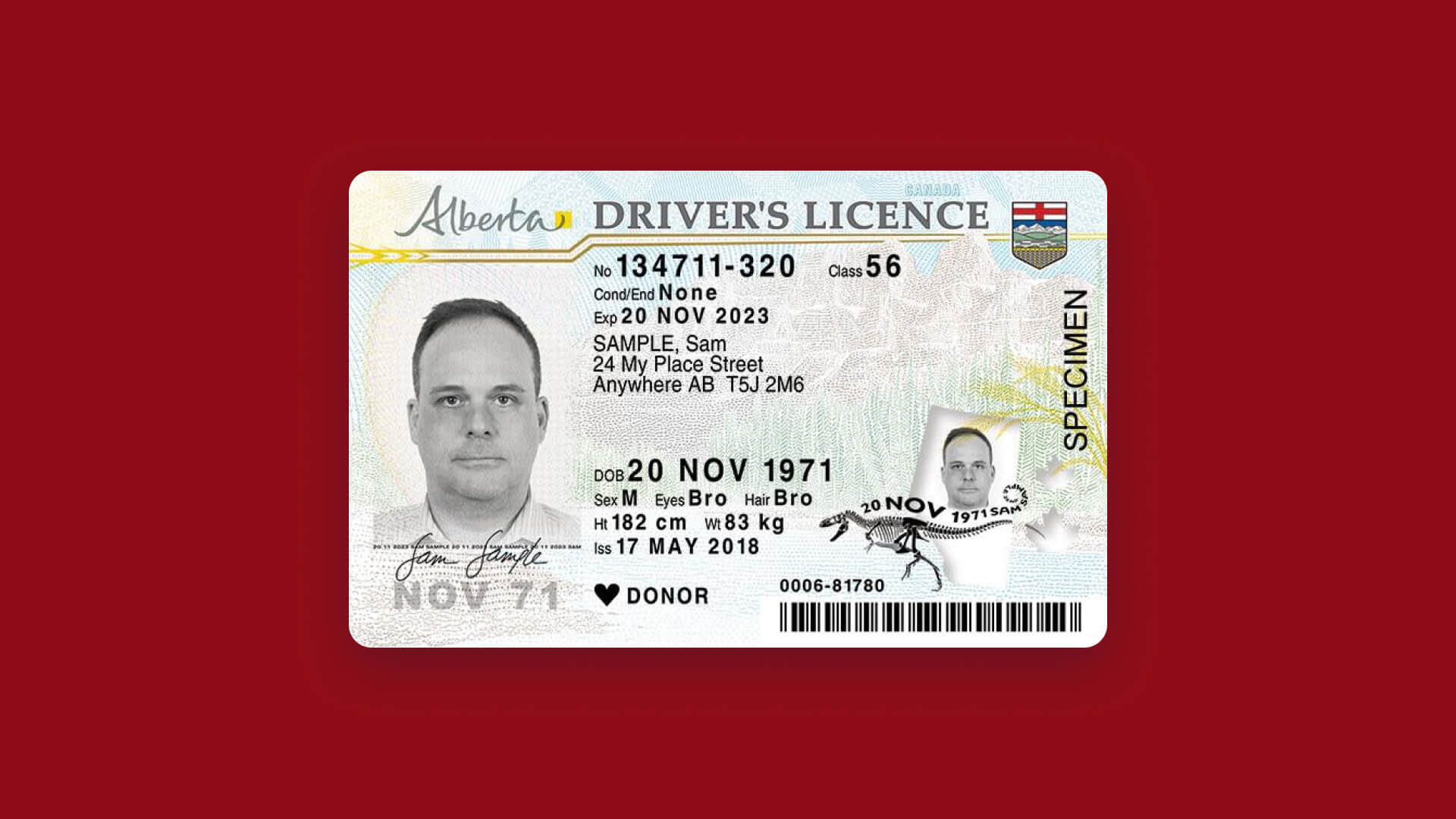 Easier Driver’s License Exchange for Czechs in Alberta – Czech & Slovak ...